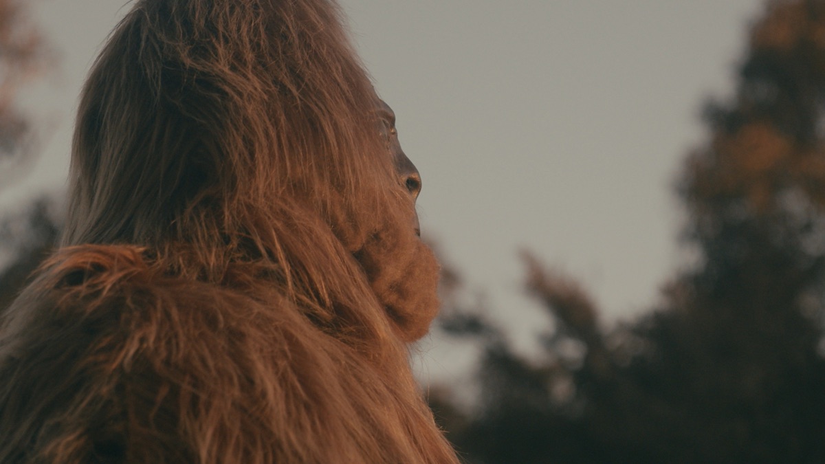 Tracking the Lore - Apple TV