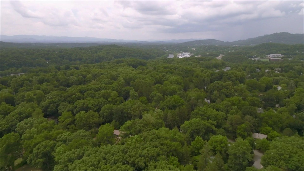 Kimberly Fletcher Groh - Snapped (Series 34, Episode 23) - Apple TV (UK)