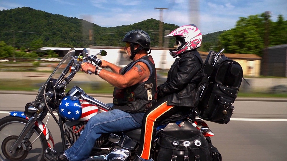 Stray Dog - Apple TV