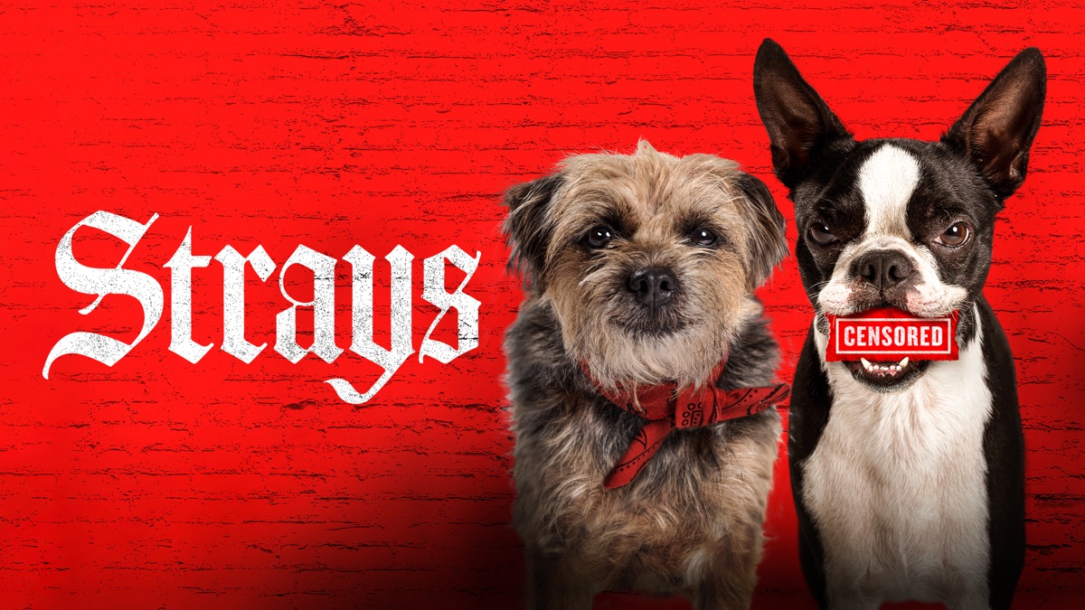 ‎Strays - Apple TV