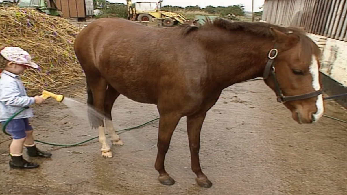 Emily Washing Pony - Teletubbies (Original Series) (Season 1, Episode ...