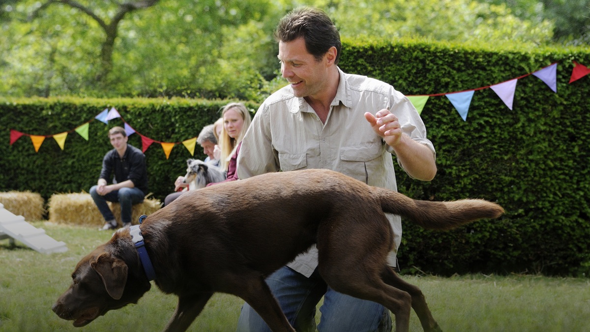 A Dog's Best Friend - The Wonder of Dogs (Season 1, Episode 1) - Apple TV