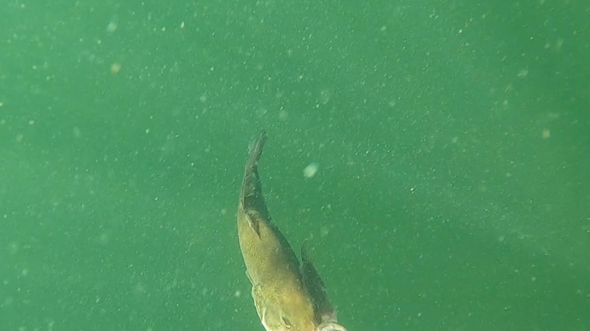 Another Day Off - Fishing The Midwest (Season 7, Episode 6) - Apple TV