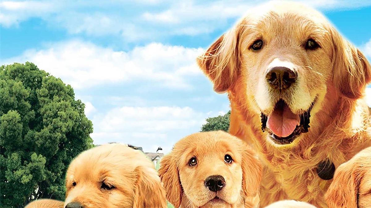The Retrievers - Apple TV