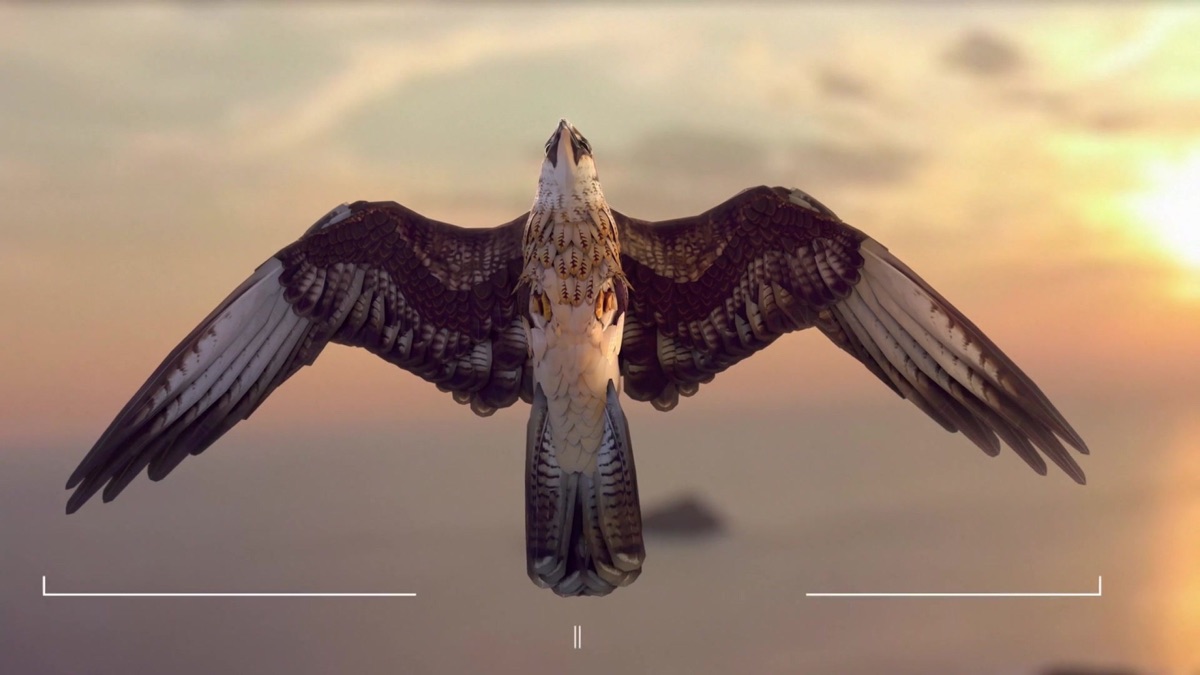 Eleonora's Falcon - Secret Migrations (Season 1, Episode 2) - Apple TV