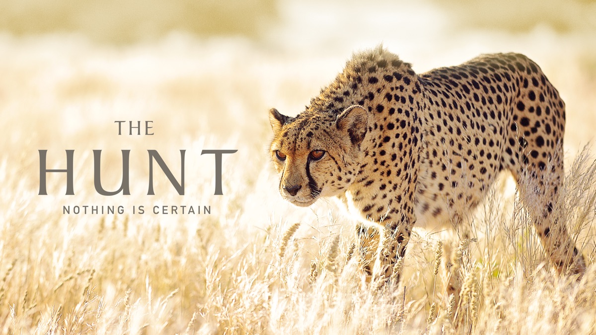 ‎The Hunt - Apple TV