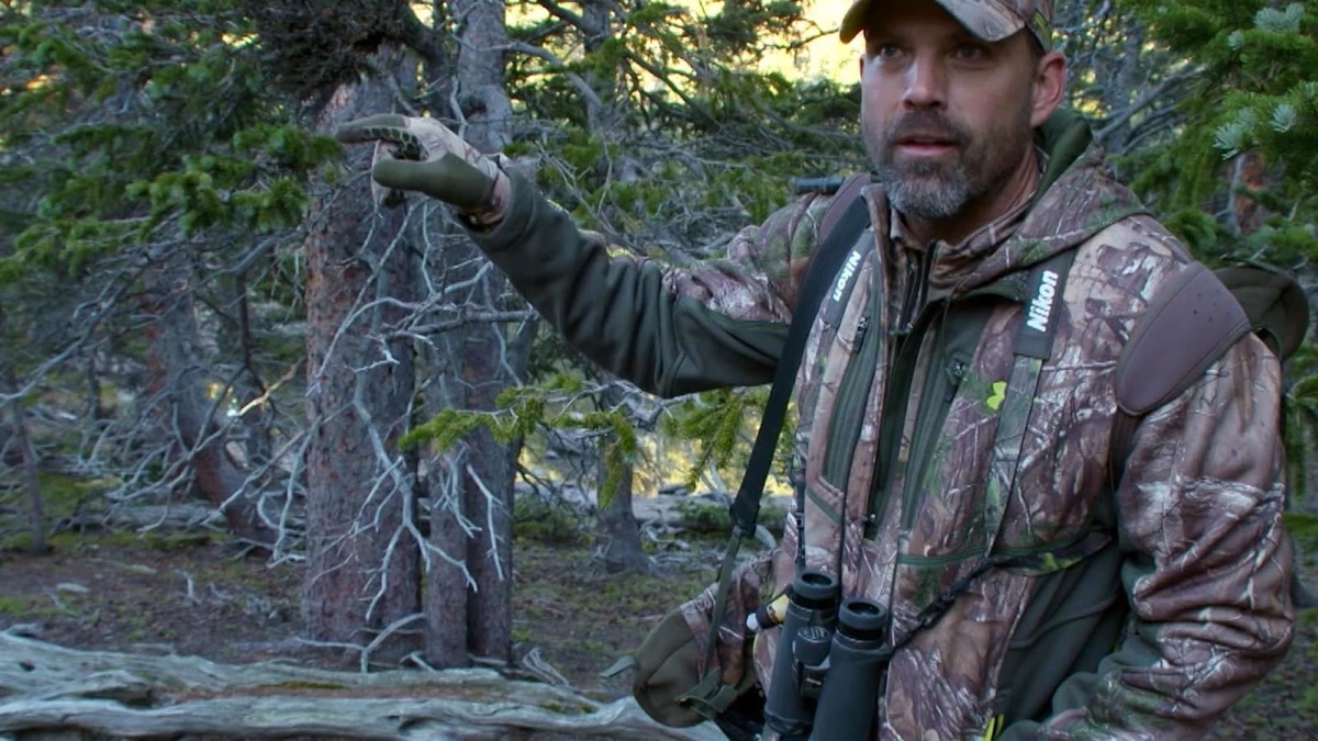 Tiffany Muzzle Colorado Elk - Quick Shots: The Crush - Elk (Season 1, Episode 3) - Apple TV