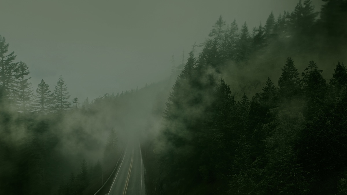 ‎Lost Women of Highway 20 - Apple TV