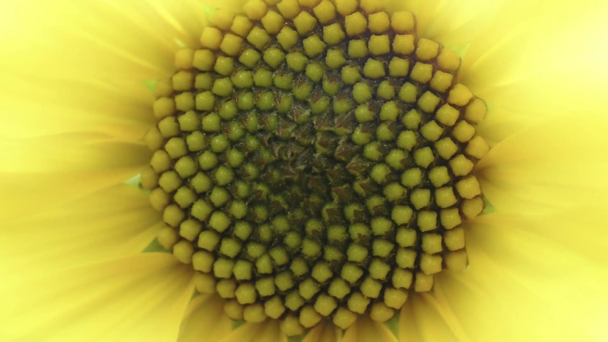 Inner Worlds: The Series - Apple TV