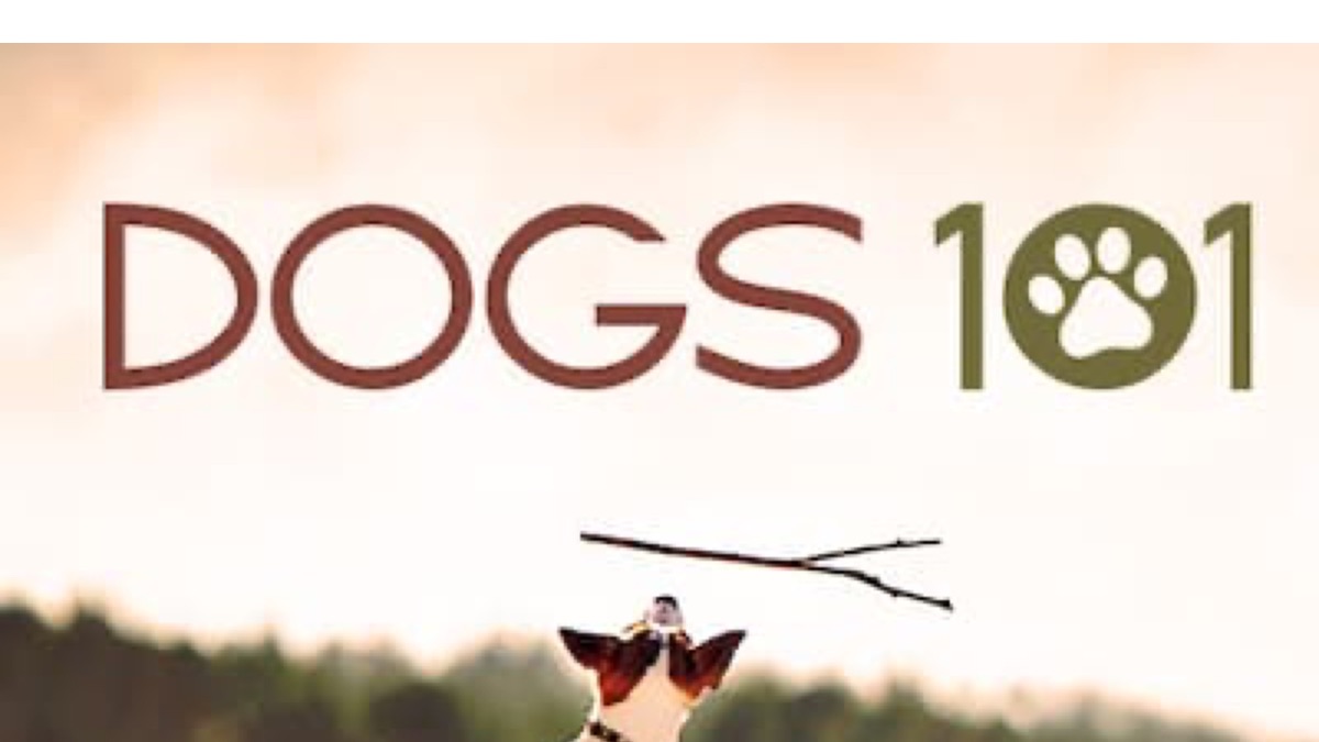 ‎Dogs 101 - Apple TV