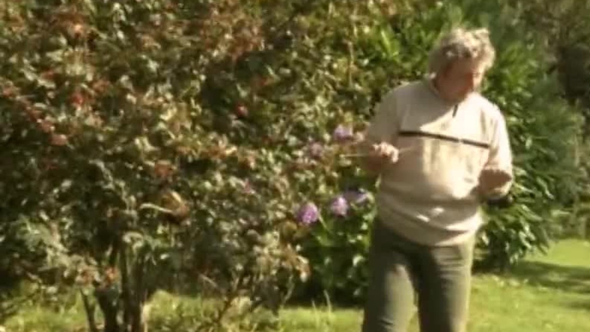 Diverse Dowsing: Practical Dowsing Techniques for Expanding Human ...